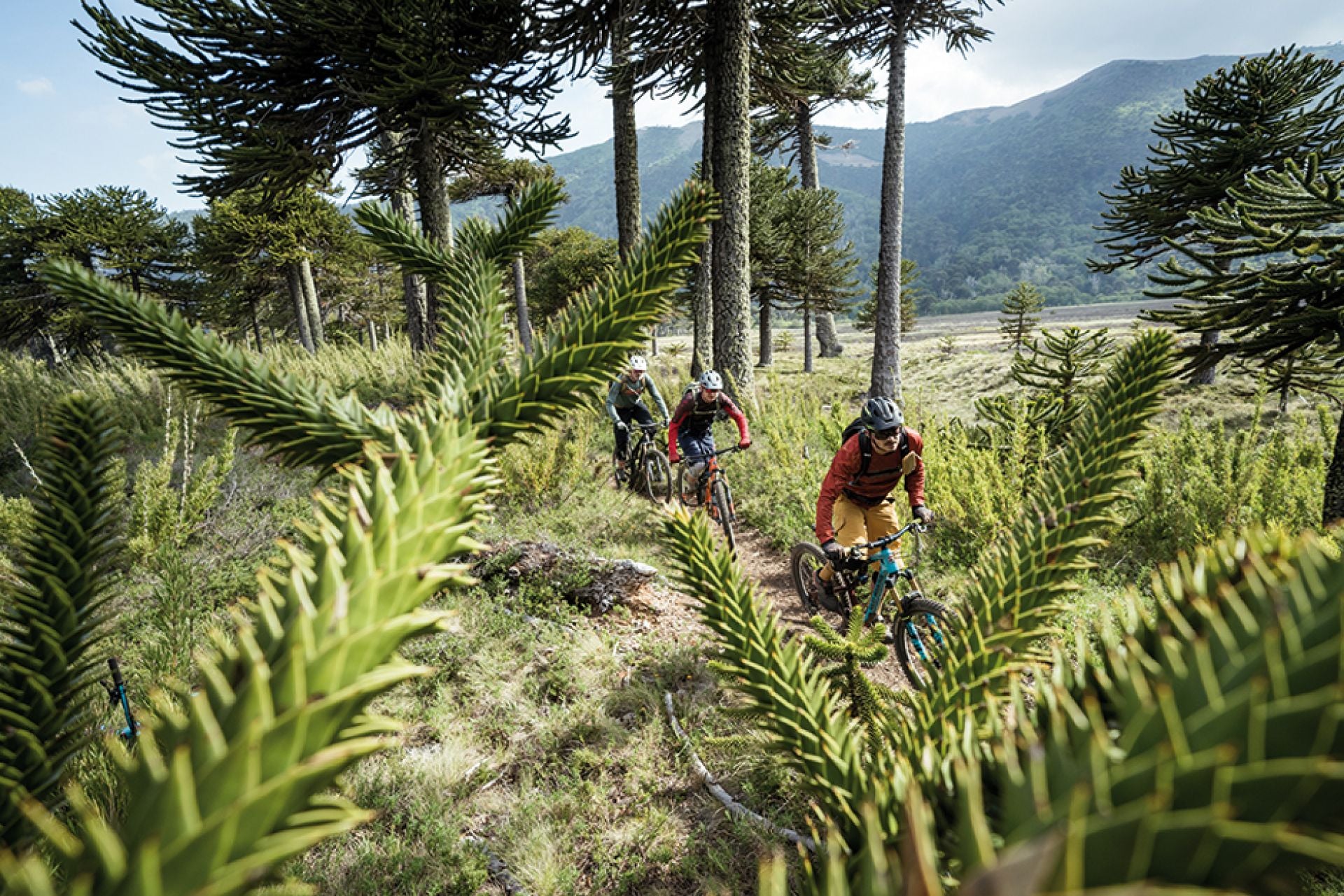 Trail Exploring Chile | Blog – EVOC Sports US